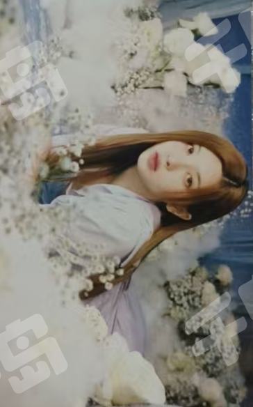 编年史pb明信片5 ver.A | 裴真率 - NMIXX - The Chronicles of NMIXX: How to Catch Aurora PHOTOBOOK｜千岛