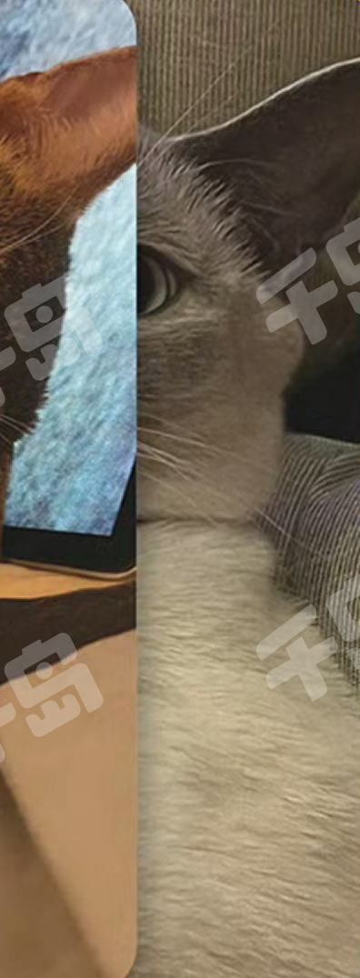 SNACK PACK版专卡 LLL ver.C | 李永钦 - STUNNER｜千岛